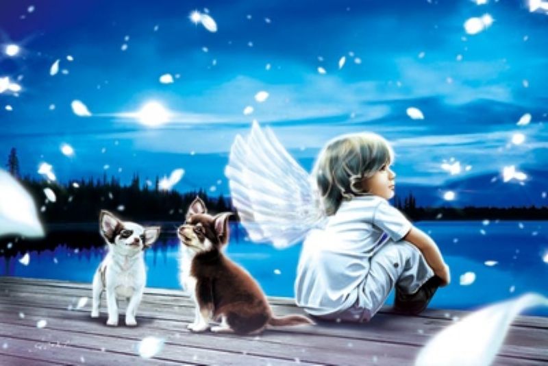 ピース数 1000ピース 完成サイズ 50cm×75cmパネルは別売りです。このサイズに合うパネル←クリックすると別ウィンドウで開きます。 作家名・作品名・商品シリーズ名 キシダ ヨシマサ 特徴 メーカー (株)アップルワン 発売日 201...