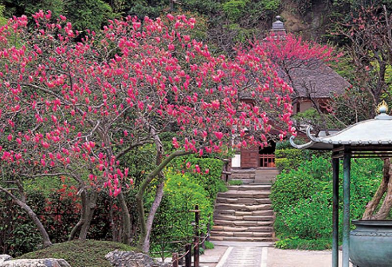 ピース数 1000ピース 完成サイズ 49cm×72cmパネルは別売りです。このサイズに合うパネル←クリックすると別ウィンドウで開きます。 作家名・作品名・商品シリーズ名 日本風景 特徴 メーカー (株)ビバリー 発売日 - 備考 ※注意※...