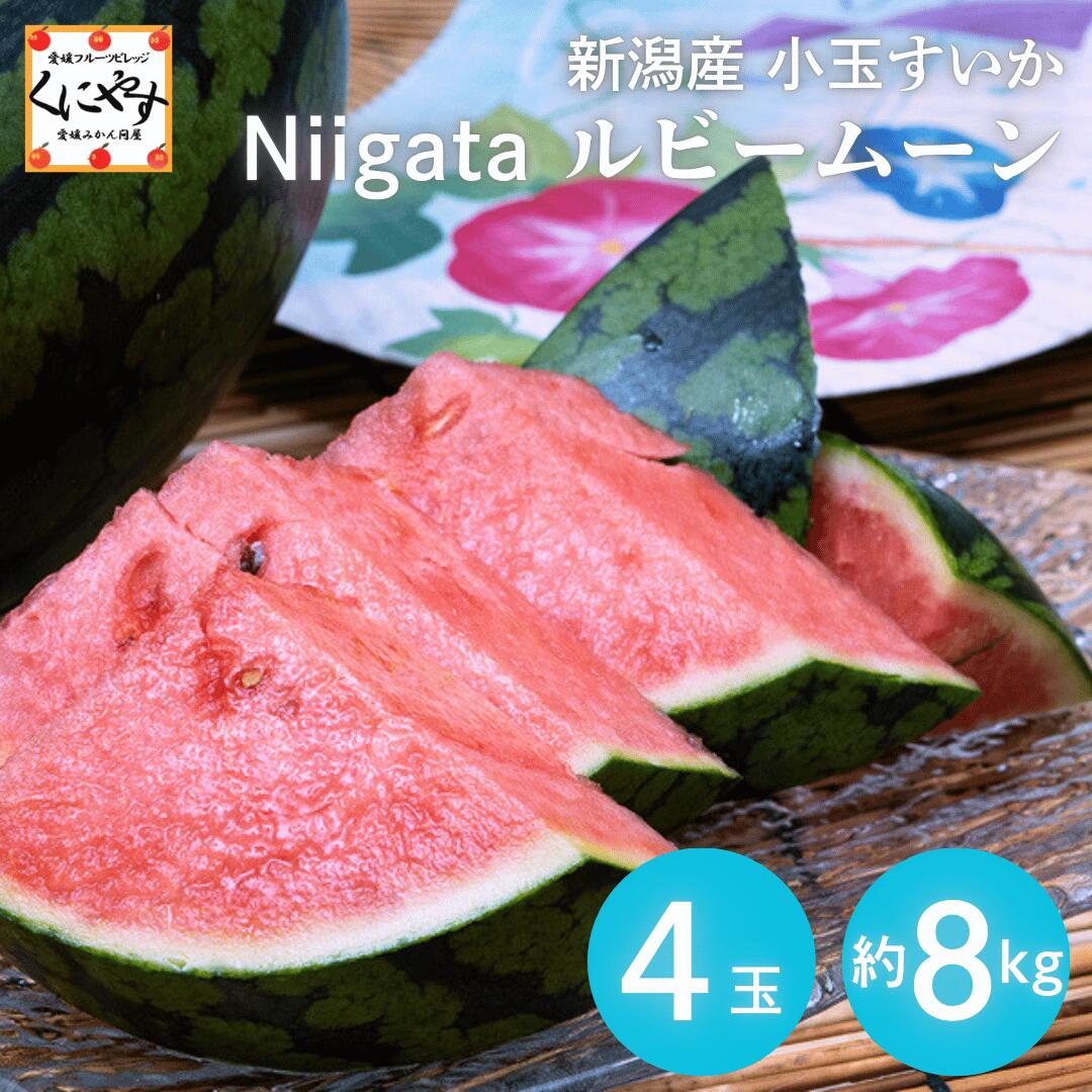 ここがポイント 水はけのよい砂地で育った小玉すいかはシャリ感抜群。皮の厚みは約3mmと薄く、皮の際まで美味しく食べられます。 さらに、昼夜の寒暖差が大きいため、高糖度に仕上がります。糖度は高いもので13度前後にもなり、果汁が滴るほどです。 ...