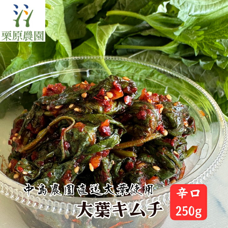 商品情報名称大葉キムチ原材料名大葉（茨城県中島農園産）、漬け原材料（赤唐辛子、醤油、砂糖、にんにく、しょうが、ごま／調味料（アミノ酸等））［原材料の一部に大豆・小麦・ごまを含む］内容量250g賞味期限別途商品ラベルに記載（製造より10日間）...