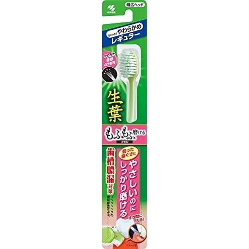 ※商品リニューアル等によりパッケージ及び容量は変更となる場合があります。ご了承ください。 名称 生葉　もふもふ磨けるブラシ　レギュラー　1本 内容量 1本 商品説明 ●やさしいのにしっかり磨ける歯ブラシです●毛先はやわらか極細4分割毛ですき...