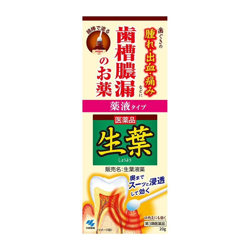 名　称生葉液薬内容量薬液20g＋綿棒（約15cm）30本（60回分）特　徴◯歯ぐきの出血・腫れ・うみ・痛み・むずがゆさ、口臭など歯肉炎・歯槽膿漏における諸症状、口内炎に優れた効きめがあります◯薬液タイプなので、4つの有効成分を歯周ポケットに...