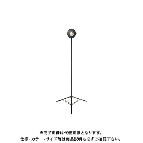 【メーカー】 ●TAKENOW 【特長】 ●WL4016/WL4018/WL4020/WL4025用の三脚スタンドです。 【仕様】 ●品番：TD01 ●ライト1灯用 ●高さ：1.6m ●適合：WL4016/WL4018/WL4020/WL4025