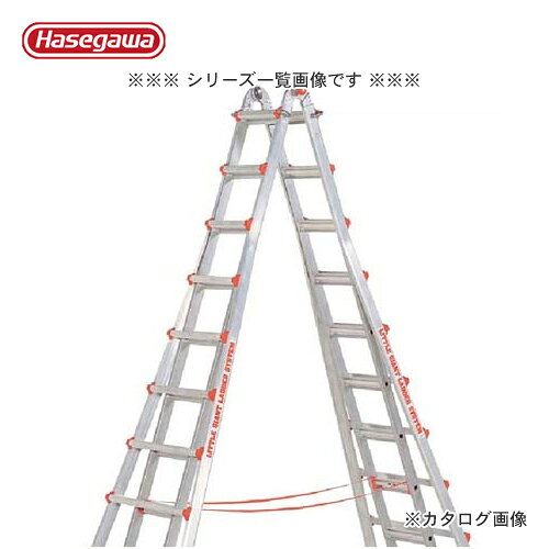 ※画像はイメージになります、商品説明をご確認下さい。 【メーカー】 ●長谷川工業（株） 【特長】 ●イベントホール、階段教室、競技場のスタンドなど、段差が大きく天井や壁面が高い場所での高所作業に威力を発揮します。 ●最大約2mの段差解消がで...