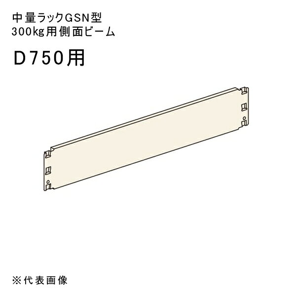 【 メーカー 】 ●扶桑金属工業(株) 【 特長 】 ●中量ラックGSN型300kg用側面ビームです。 【 仕様 】 ●適合：D750用 ●色：アイボリー ●付属品：抜け止めピン×2本付 【 注意事項 】 ※部材送り、混載便、車上渡し条件 ...
