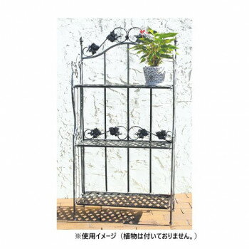 ガーデニング用3段ワイドラック観葉植物や小鉢を立体的に飾れる、ディスプレイ用にぴったりなラックです。サイズW65×D27×H124cm個装サイズ：126×7×69cm重量個装重量：10000g仕様折りたたみ式生産国中国fk094igrjs