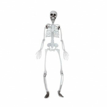 なりきり衣装!イベント、学園祭、舞台、演劇におすすめ等身大(約90cm)のハンギング骸骨です。関節を自由に動かすことができます。ホラーイベント、肝試し、ハロウィンディスプレイ、置物、装飾品にお勧めです。撮影小物としてもオススメです。サイズ全...