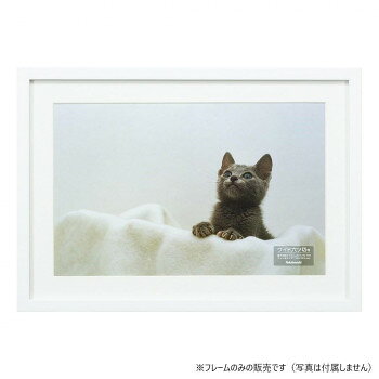 おすすめシンプルな形状の写真額はリビングにも子供部屋にも相性良し。モノトーンスタイルや北欧モダンなど、様々なデザインと相性が良いフレームです。サイズフレーム外形:257×360×19mm、収納用紙:237×340mm、フレーム窓:230×3...