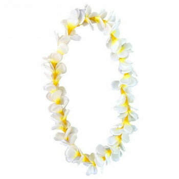 パーティや各種イベントでも活躍するアイテム美しく、色彩豊かで、目を引くことに加え、耐久性に優れ、パーティや各種イベントでも活躍するアイテムです。プルメリアはキョウチクトウ科プルメリア属の総称です。熱帯地方では四季咲きですが日本では温室で栽培...