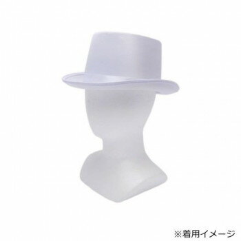なりきり衣装!イベント、学園祭、舞台、演劇におすすめ様々なシーンで使用できる光沢のあるシルクハットです。リボンがまかれていて、ツバの縁取りがされています。着脱しやすい為、ダンスや演劇などの小物としてもお勧めです。演劇、マジックショー、イベン...