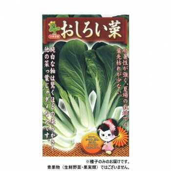 純白な軸は驚くほどの柔らかさ!耐暑性が強く、高温期の栽培で特性を発揮。夏場の栽培でも葉先枯れが少ない。葉は鮮緑色で丸葉肉厚で葉柄は純白で幅広い。しらさぎ菜より株張りがよくボリューム感があり荷姿も美しく市場性が高い。高温期の節間伸長も少なくチ...