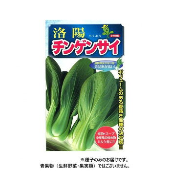 高温期の節間伸長が少なく秀品率が高い葉柄の幅は陽夏と比べて広く、葉の枚数が多く、形状が良いのが特長です。草丈は陽夏と同じくらいか、少し短めになります。草姿は立性で、葉の形は丸く、陽夏より大きめになります。とりわけ節間伸長少なく、まとまりがあ...