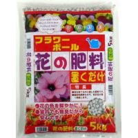 肥料3要素を含んだ置くだけ化成肥料。鉢植え・プランターや花壇などの土の上にバラまくだけで、少しづつ成分が溶け出していく手軽な肥料です。花を育てるのに適した肥料です。内容量5kg×4袋サイズ38cm×30cm×5cm(1袋あたり)個装サイズ：...