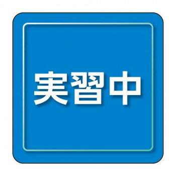 おすすめ担当者の役割や安全上の責任を明示する胸章です。作業着に直接貼れて、そのまま手洗いも可能。止め具を使用しないので服を傷めにくく、通常の腕章や胸章に比べて着用時の違和感もありません。サイズ70×70mm個装サイズ：44.5×34.5×1...