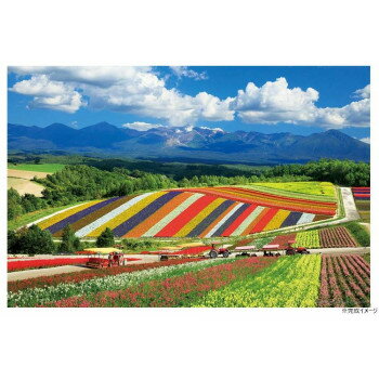 おすすめ『展望花畑四季彩の丘』は北海道美瑛を象徴するエンターテイメント・ガーデン。畑一面に花が咲き誇り、トラクターバスに乗りながら美しい色彩と、いっぱいの花の香りに包まれた時間を満喫することが出来る。緩くうねりのある丘が独特の風景を形作って...