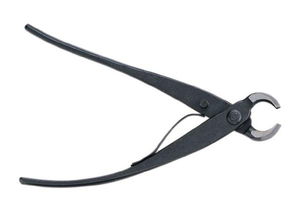 幹や枝にできたコブを取り除く!!