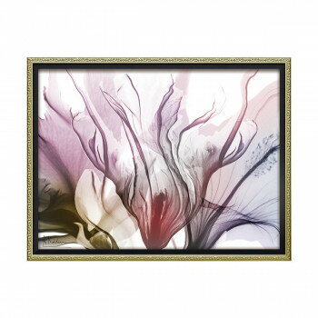 絵と額がセットになった商品迫力のあるXrayの花々。躍動感あふれるフラワーアートです。作家:アルバート クーツィール(オランダ男性作家)オランダ生まれ。幼少の頃より写真に興味を持ち仕事で出会ったX線に魅了され、クリエイティブな作品を作り続け...