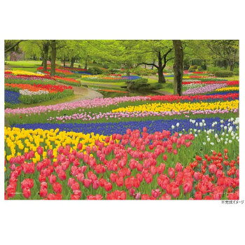 おすすめ国営昭和記念公園は昭和58(1983)年に開園した東京都立川市・昭島市にまたがる国営公園。一年を通して四季折々の花が見るものを楽しませる。春にはサクラやチューリップが見ごろとなり色とりどりの見事な花を咲かせる。【ラージピース】初めて...