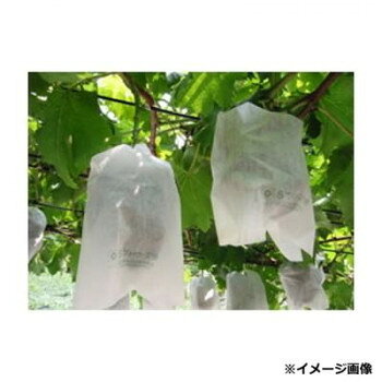 特殊純白ロール紙に撥水処理した一重袋風雨から果房を保護し、散布農薬やほこりなどの付着を防ぎます。サイズ173×250mm個装サイズ：2.0×17.3×25.0cm重量個装重量：180gセット内容100枚生産国日本fk094igrjs