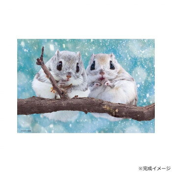 エゾモモンガのジグソーパズルモフモフの毛をまとった北海道の森のアイドル、エゾモモンガがジグソーパズルになりました。サイズ38×26cm個装サイズ：14×17×5cm重量個装重量：265g仕様ピース数:300ピースパネルNo.:031生産国日...
