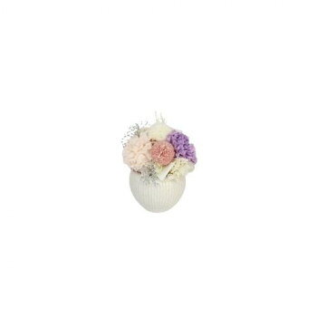 お供えにおすすめやさしい色合いでまるまるしたシルエットがかわいらしいお供え花です。サイズW13×H15×D13cm個装サイズ：13.0×13.0×15.0cm重量250g個装重量：250g仕様クリアケース入生産国日本fk094igrjs