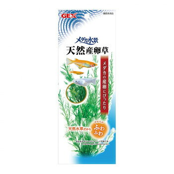 メダカの産卵にぴったり!天然水草だからやわらかふわふわ。天然シダを染色して乾燥させた、魚にやさしい天然水草です。おもり付きなので簡単に移動することができます。サイズ個装サイズ：20.3×8.1×2.3cm重量個装重量：10g仕様シダ、おもり...