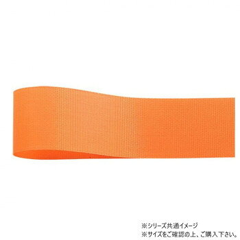 タフタ織りの固めの風合いが特徴タフタ織りの固めの風合いが特徴です。いったん結ぶと緩みにくく、多くのお客様にお選びいただいているラッピングリボンです。裏表がないため、蝶結びもしやすい商品です。サイズ幅:24mm、長さ:100m個装サイズ：5×...