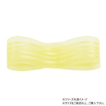 オーガンジーの軽やかさとサテンの光沢オーガンジーの軽やかさとサテンの光沢を併せ持ったリボンです。4本ラインのサテンがリボンに張りを与え、デザイン性を持たせています。サイズ幅:25mm、長さ:30m個装サイズ：5×15×15cm重量個装重量：...