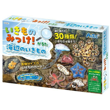 実物大の海辺のいきものがかくれんぼ磯に隠れたいきものを探すかるたです。生き物の名前と特徴を読み上げられたら、磯の海辺シートの上に置かれた生き物カードを取ります。磯に隠れる小さなサイズの生き物なので、カードは本物サイズになっています。特徴だけ...