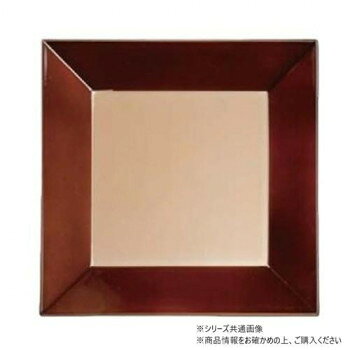 おすすめ食材を盛るのに最適です。サイズ220×220×32mm個装サイズ：27.4×22.9×3.5cm重量個装重量：210g素材・材質ABS樹脂生産国中国fk094igrjs