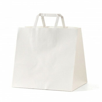 小物の持ち運びに白い無地の袋です。ギフトのラッピングなど、幅広いシーンで活躍すること間違いなし。サイズ幅300×マチ220×高さ280mm個装サイズ：33×35×10cm重量個装重量：2965g素材・材質袋:片艶(120g)紐:平紐セット内...