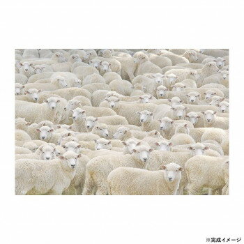 この地獄をクリアできるか?このジグソーパズルは組み上げる事が極めて難しい、難易度の高いパズルです。ひつじが一匹、ひつじが二匹…眠気に耐えてパズルをくみ上げることが出来るか?サイズ38×26cm個装サイズ：23×17×5cm重量個装重量：32...