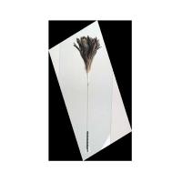 本棚や家具・インテリアなどについたホコリを優しく払います。薬品は使わず、摩擦による静電気でホコリを吸着します。付着したホコリは、軽く振ると簡単に落ち、汚れても洗えば元の効果が変わらず得られます。サイズ全長72cm個装サイズ：16×75×2c...