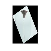 本棚や家具・インテリアなどについたホコリを優しく払います。薬品は使わず、摩擦による静電気でホコリを吸着します。付着したホコリは、軽く振ると簡単に落ち、汚れても洗えば元の効果が変わらず得られます。サイズ全長66cm個装サイズ：16×76×2c...