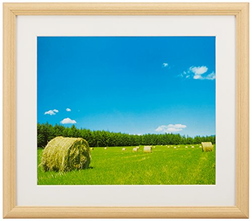 1枚・ベージュ 4切 22464・・Size:4切Style:1枚Color:ベージュ・カラー:木地色・前面板:透明アクリル板・木製額縁・厚手Vカット台紙1.3mm・付属品:吊紐説明 ●前面板には軽量で安心安全のアクリル素材を採用。ガラスの...