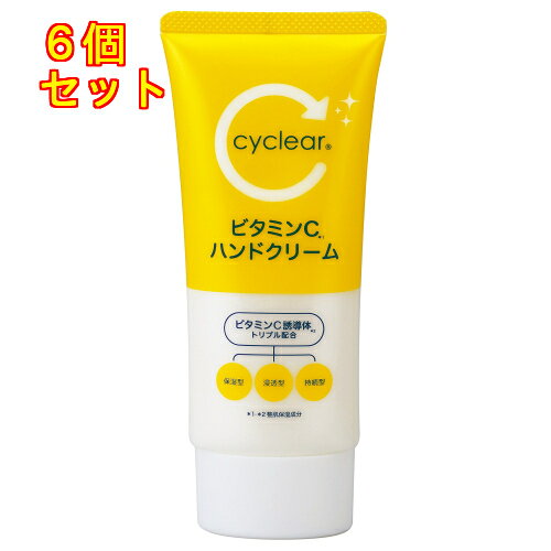 1個3個セット12個セット24個セット※商品リニューアル等によりパッケージ及び容量は変更となる場合があります。ご了承ください。高保湿&透明感のあるお肌へビタミンC(※1)と3種のビタミンC誘導体(※2)(保湿型(※A)・浸透型(※B)・持続...