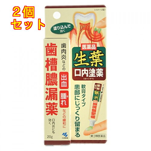 1個3個セットこの商品は医薬品です、同梱されている添付文書を必ずお読みください。※商品リニューアル等によりパッケージ及び容量は変更となる場合があります。ご了承ください。歯ぐきの出血、腫れ、うみ、痛み、むずがゆさ、口臭など歯肉炎、歯槽膿漏にお...