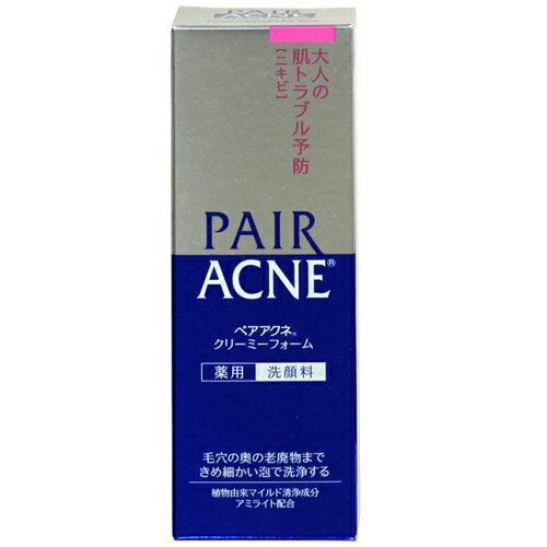 ※商品リニューアル等によりパッケージ及び容量は変更となる場合があります。ご了承ください。ニキビの原因となるアクネ菌、余分な皮脂や肌の汚れを、クリーミーな泡がやさしく包み込んでサッパリ洗い上げ、ニキビのできにくい肌環境にします。 名称 薬用洗...