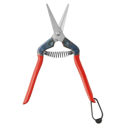 ブランド名 近正 商品名 近正　本職園芸用　ステンレス　芽切・摘果鋏　T-55SH 特徴 ・高級炭素刃物鋼に強くて粘りのある特殊熱処理を施し、理想的な刃付角度が強くて 　鋭い切れ味です ・ハサミにとってオヘソにあたるカシメ部分の鋲は、摩擦に...