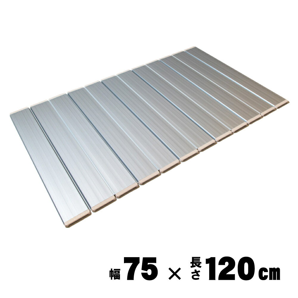 仕様 適応サイズ:75×120cm用 耐熱温度:110℃ 色:メタリックグレー 材質:本体(ポリプロピレン)、軟質・すべり止め(オレフィン系エレストマー) 製品サイズ(mm) 幅×奥行×高さ:1193×750×11 製品重量(g) 2400...