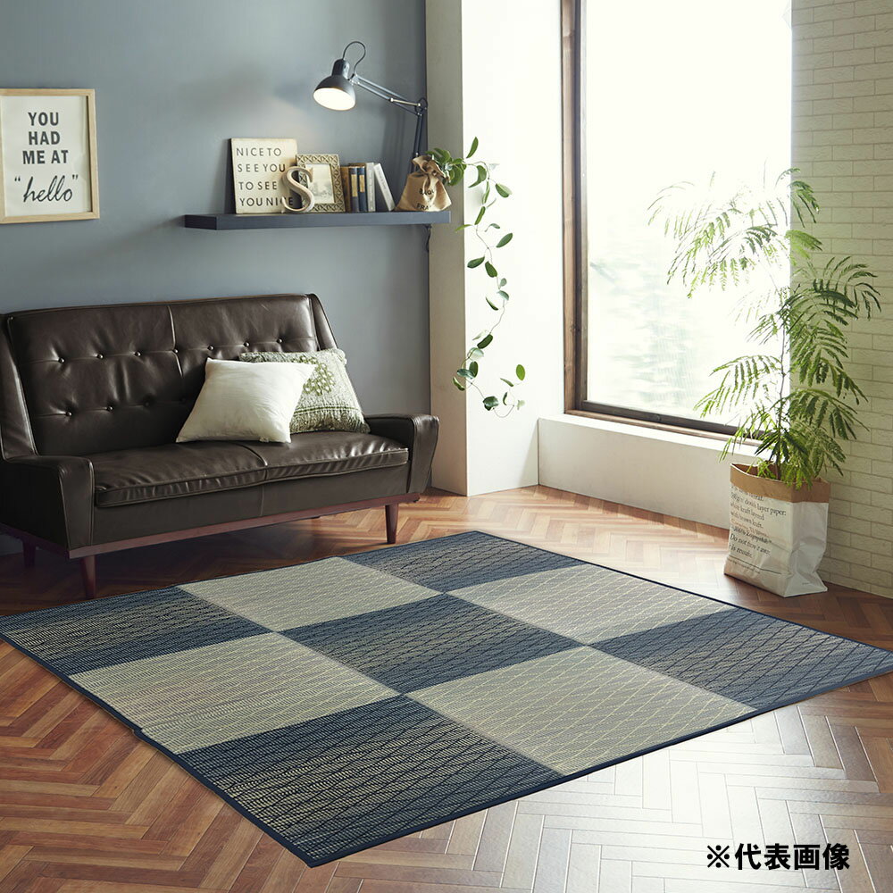 仕様サイズ:240×240cm 色柄:ブルー 特長 抗菌防臭効果のあるラグ ※品質向上のため予告なく仕様を変更する場合がございます。パッケージのリニューアル等につき、商品画像が異なる場合がございます。商品画像の色合いは、画像処理上、若干異な...