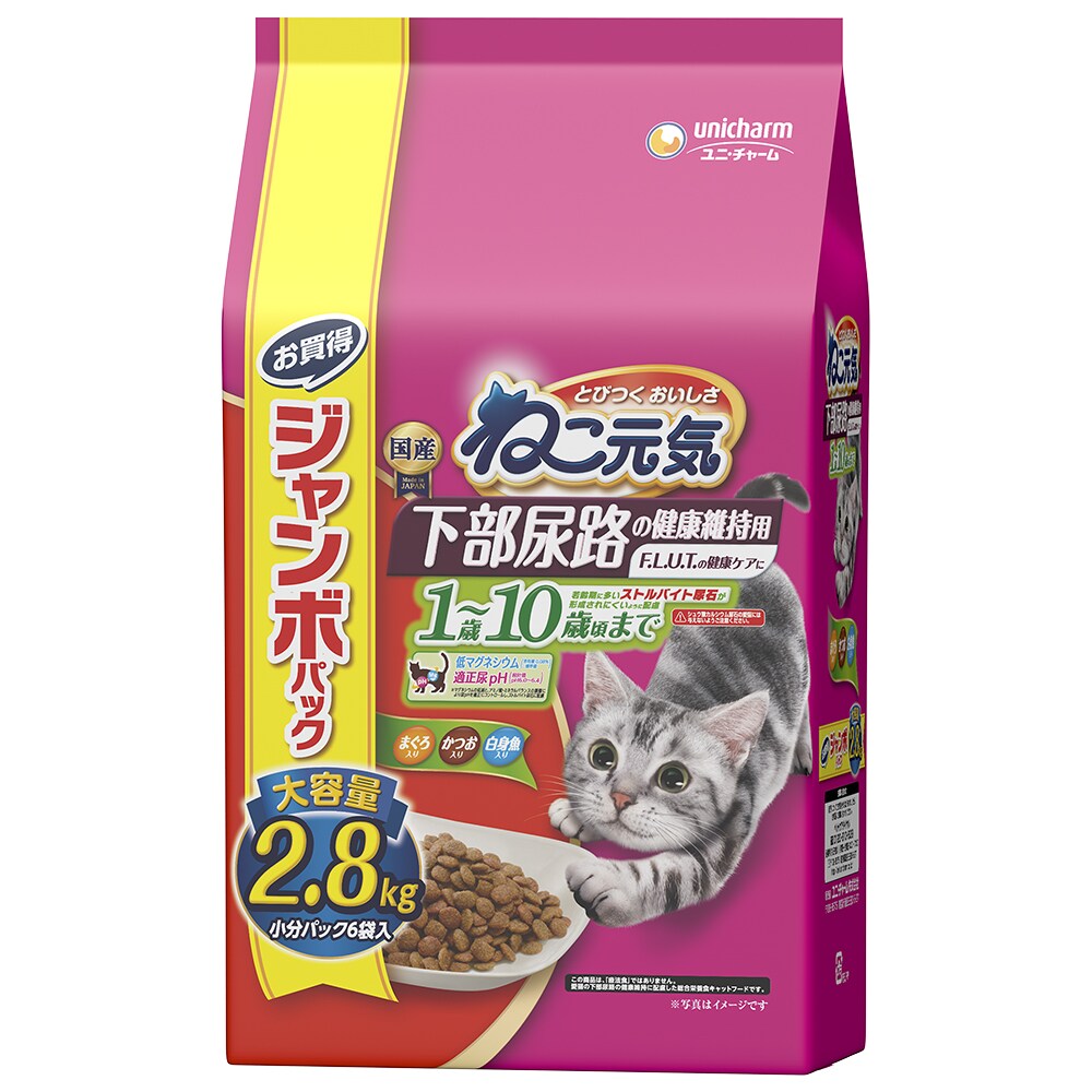 仕様 原材料:穀類(トウモロコシ/パン粉/コーングルテンミール)、肉類(ビーフミール/チキンミール/チキンエキス等)、動物性油脂、魚介類(フィッシュエキス/フィッシュミール/まぐろミール/かつおミール/白身魚ミール)、野菜類(ビートパルプ)...