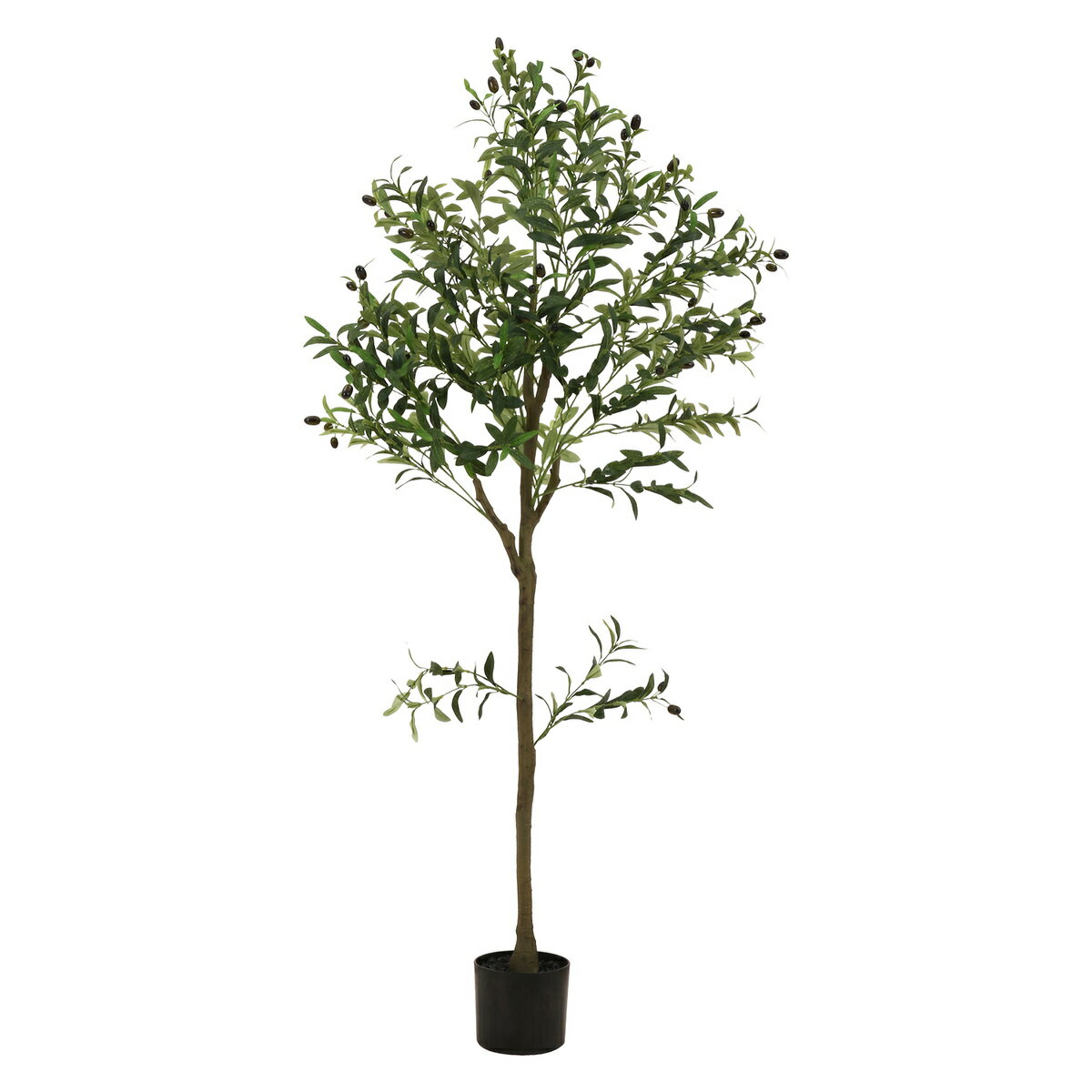 仕様 製品サイズ(全体):幅750×奥行550×高さ1500cm 鉢サイズ:径130×高さ130cm 製品重量(g) 3700 生産国 1330 商品説明 丸い実がアクセントとなり優しい雰囲気を演出する人工観葉植物ジョイント式タイプ150c...