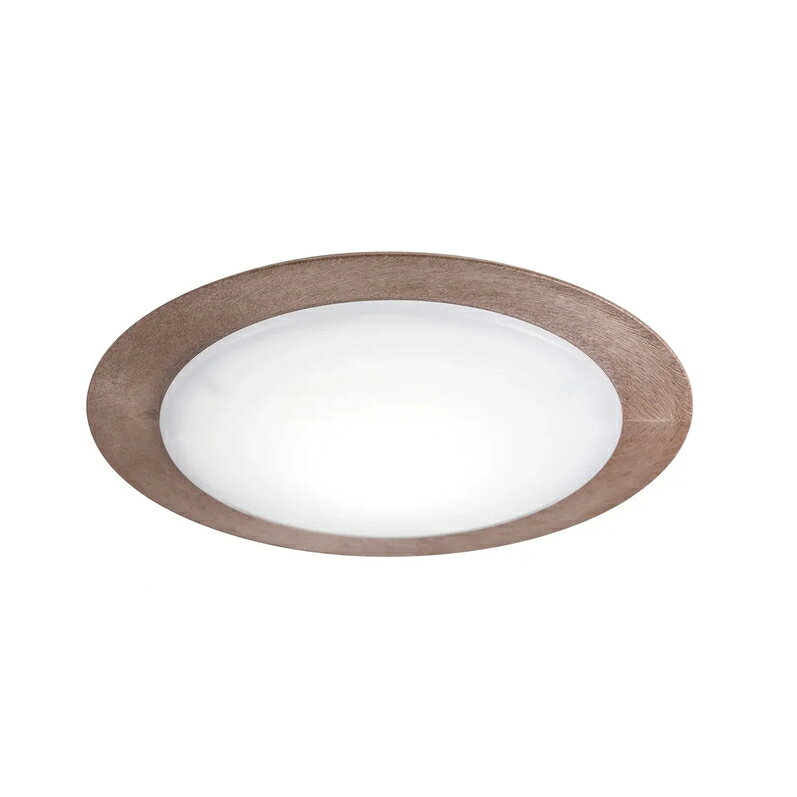 仕様 消費電力:6W 器具光束:550ルーメン 定格寿命:40,000h 色温度:5000K 演色性:Ra70 製品サイズ(mm) 幅×奥行×高さ:160×160×45 製品重量(g) 220 商品説明 枠に木目調のカバーを採用し照明のデザ...