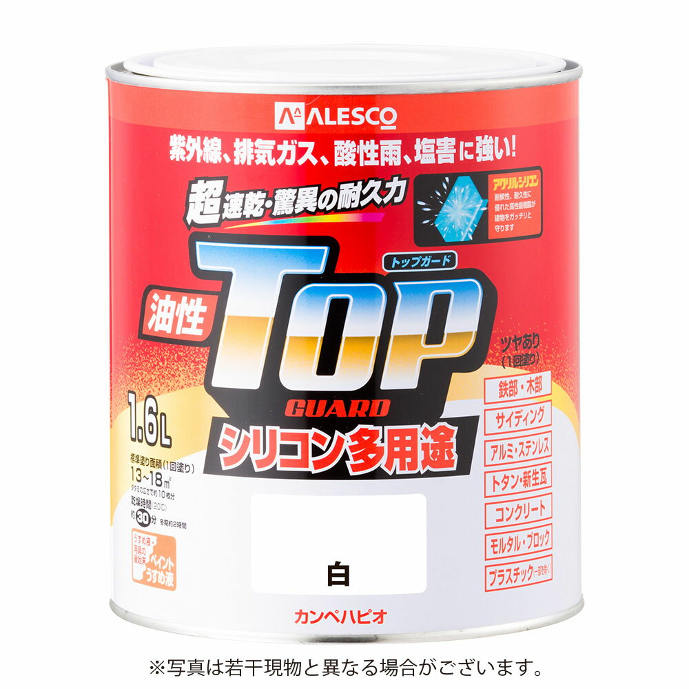 仕様 用途:シリコン多用途 乾燥時間:約30分(気温20℃)/冬期は約2時間。 塗り重ねるときは2時間以上(20℃)/冬期は6時間以上。 塗り面積(1回塗り標準面積 ):容量/1.6L・塗り面積/13〜18m2・塗り面積(タタミ換算)/約1...