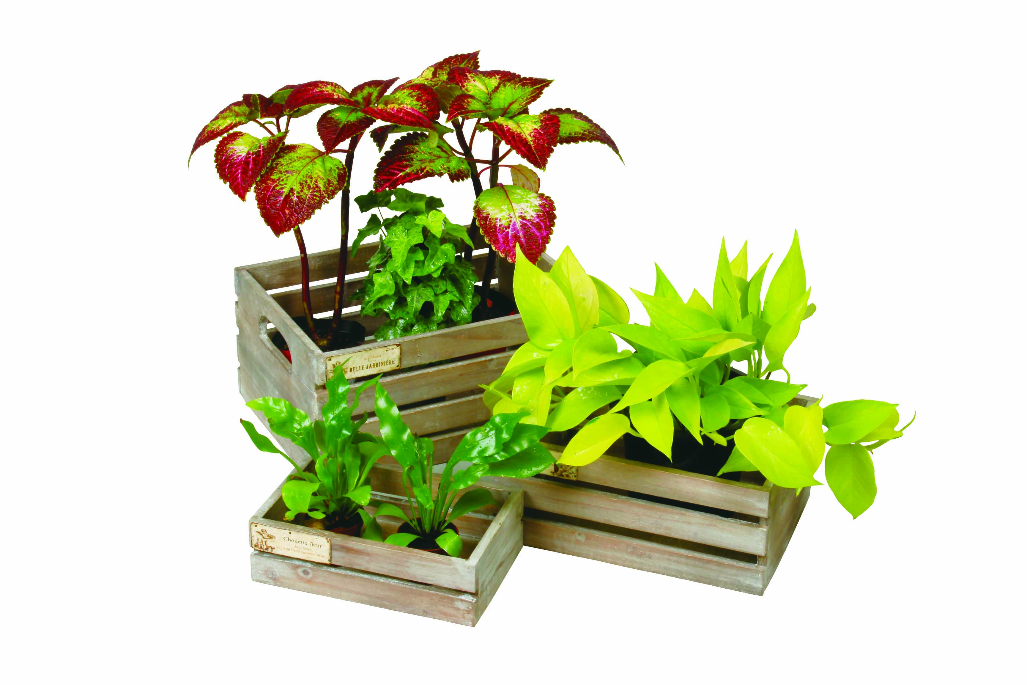 商品サイズ：W330×H155×D250、W280×H120×D200、W230×H70×D150材質：木