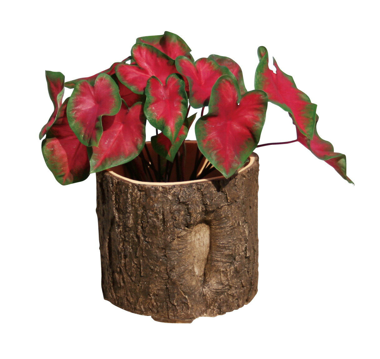 商品サイズ：φ215×H170材質：軽量コンクリート