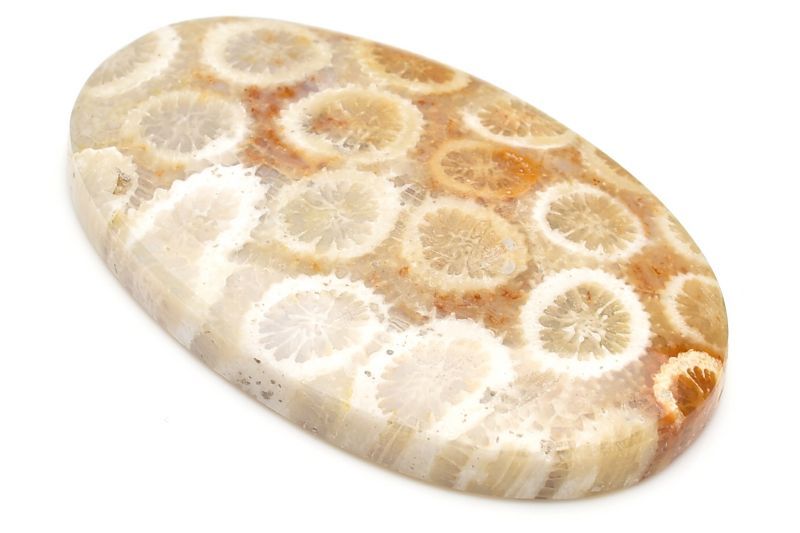 材質フォッシルコーラル 35.5x22.5mm 産地：インドネシアサイズ約35.5x22.5mm重さ約6g特徴・意味天然の花模様が見られるフォッシルコーラルのルースです。ベージュ系の落ち着いた色味で、化石らしい素朴な雰囲気があります。価格も...