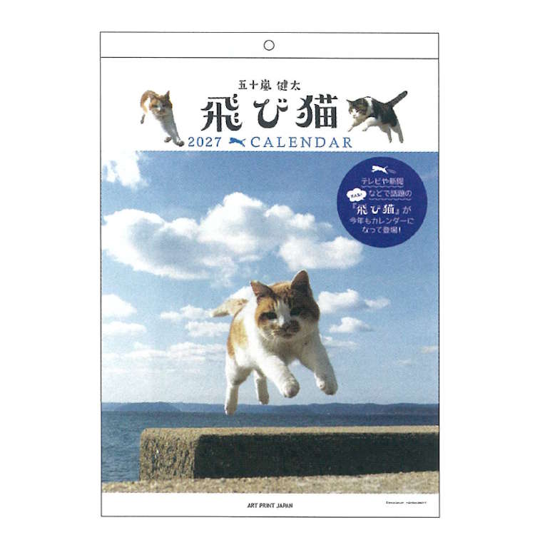 商品仕様【サイズ】約370×260mm 【原産国】日本 【仕様】13枚つづり・紙ヘッダー仕様 ※メーカーの都合により、発売日、及び、仕様が変更になる場合がございます。あらかじめご了承ください。特記事項※画像はあくまでも商品イメージになります...