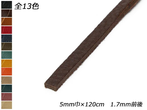 ■型番：Phimo0277■商品名：アリゾナレース■販売価格：319円（税込）　/　290円（税抜）■メール便について：メール便（220円）対応商品です。■発送予定目安：4日以内（日祝日は除く）■色：全13色、黒/焦茶/茶/赤/紺/緑/ター...